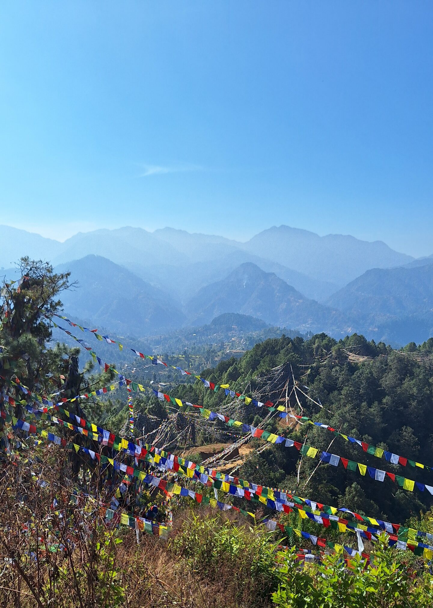 ELDL lükkab käima projekti “Sillad” - Eesti Lavastajate ja Dramaturgide ...